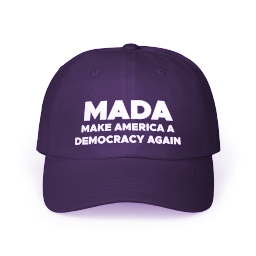 Make America a Democracy Again | Pro-Democracy Gear